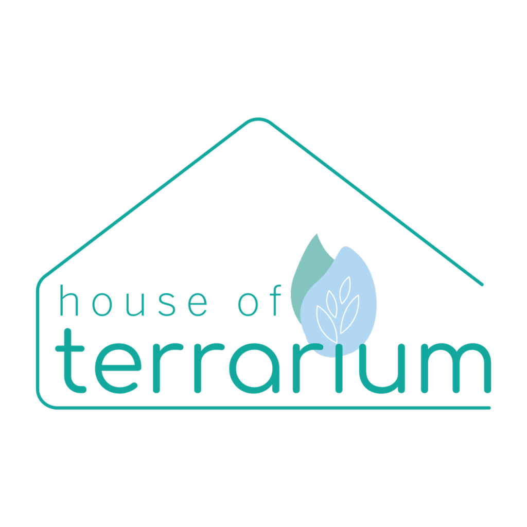 Terrarium Workshops – House of Terrarium Terrarium Workshops – House of Terrarium