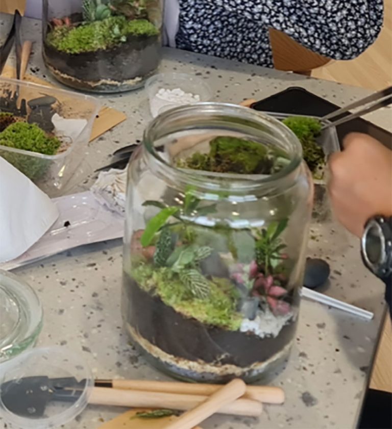 Terrarium Workshops – House of Terrarium